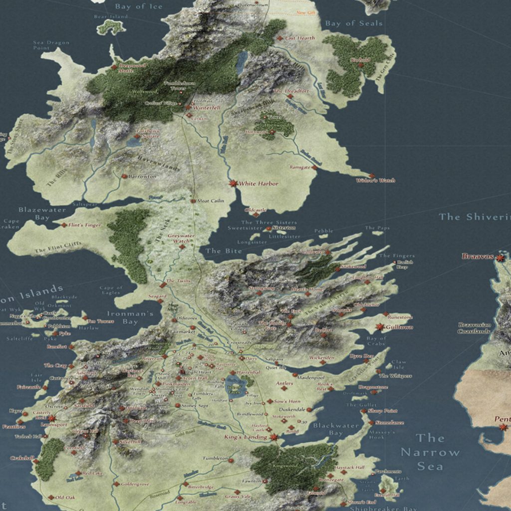 Cuadro Simple 60x40cm Westeros map - The Wild